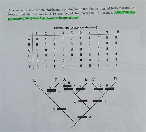 Solved Here We See A Simple Data Matrix And A Phylogenetic