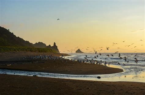 В Японии выступили за создание условий для мирного договора с Россией