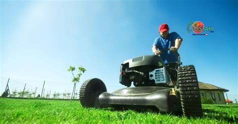 Top 5 Common Lawn Problems and How to Fix Them - Garden Josiah | We Grow Big