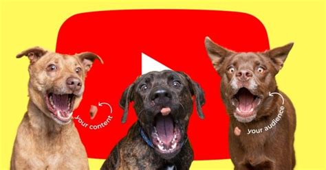 3 Youtube Algorithm Hacks For More Views Tubebuddy