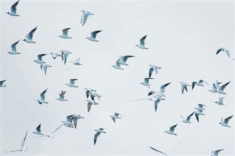 Towards Data Science On Linkedin Particle Swarm Optimization