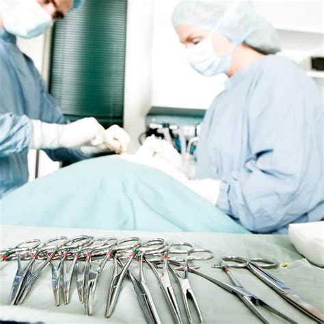 Surgical Skin Preparation Best Practice Protocol For Veterinary