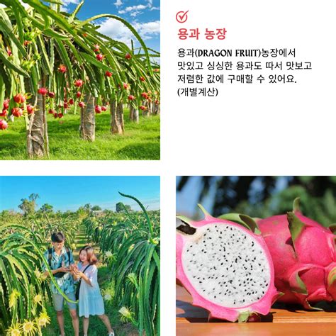 나트랑박사 무이네 1박2일 투어 나트랑박사