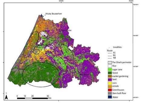 Result Of The Svm Classification Based On Pixel Download Scientific