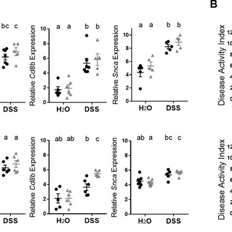 Dss Colitis Induces Intestinal Inflammation And Loss Of Rgs10 Worsens Download Scientific
