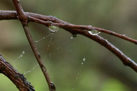 Premium Photo Rainy Beautiful Day