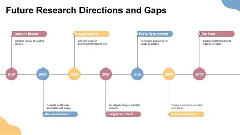 Future Research Directions And Gaps Dimethylamphetamine Ppt Template St