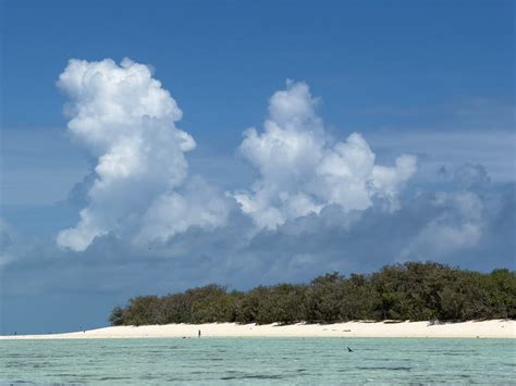 Heron Island Nature Tour Artist Retreat 17 22 February 2027 4