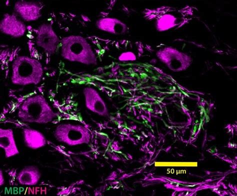 Osmar Padilla Posted On Linkedin