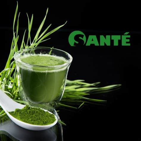 Daily Organic Grass Pili