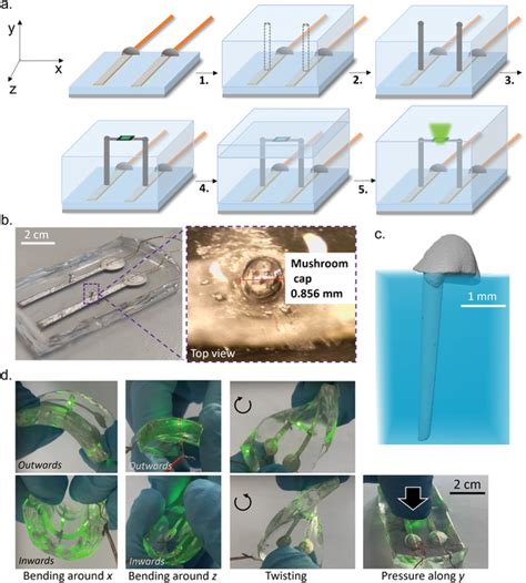 a sketch of the stepwise fabrication process of an omnidirectional