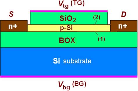Schematic Presentation Of The Cross Section Of Soi Mosfet Download Scientific Diagram