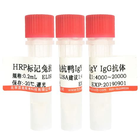 HRP标记兔抗鸭IgY IgG H L 抗体