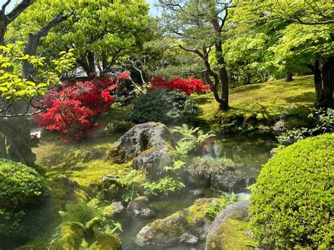 假屋崎省吾氏絶賛！島根県「由志園」は”絶対日本一の日本庭園ですよ‼️”と！ いけちゃんの温泉、ディズニー、グルメ、旅行ブログ