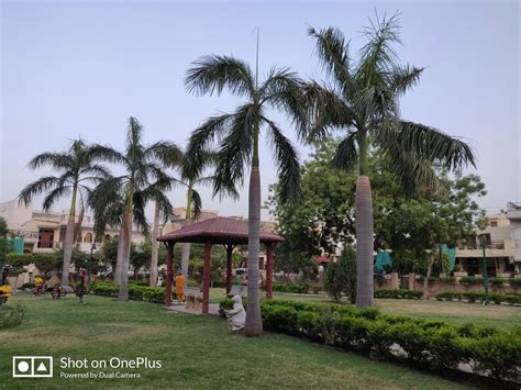 Divam Gupta Divamgupta6 Twitter