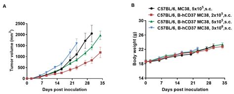 Human Cd37 Mc38 Cell Lines Biocytogen