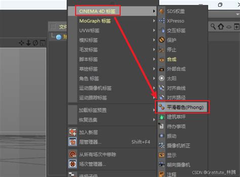 C4d 参数几何化c4d冻结变换 Csdn博客