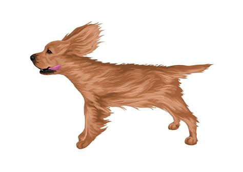 Life Sized Cocker Spaniel Decal — Cover Alls Decals