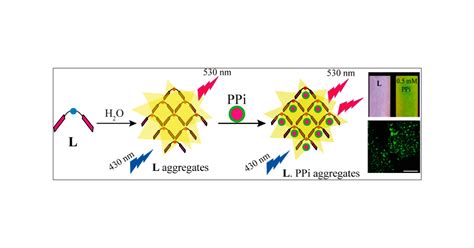 Aggregation Induced Emission Active Metal Free Chemosensing Platform