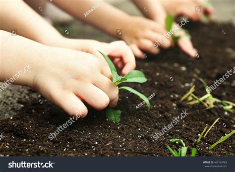 Proceso De Sembrado Niña Images Stock Photos Vectors Shutterstock