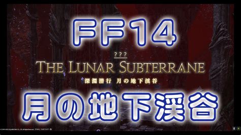 【ff14】月の地下渓谷 白魔道士 Cf 初見 レベル90 【ffxiv】the Lunar Subterrane Whm Pov Df