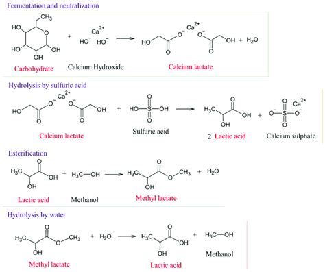 Scheme 1 Fermentation Procedure For Obtaining La Download Scientific Diagram