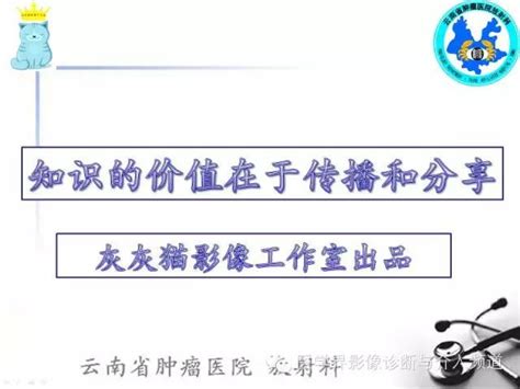 【ppt】局灶性肾脏肿瘤ct影像诊断分析 影像ppt