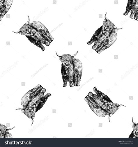 43 Seamless Highland Cattle Stock Vectors And Vector Art Shutterstock