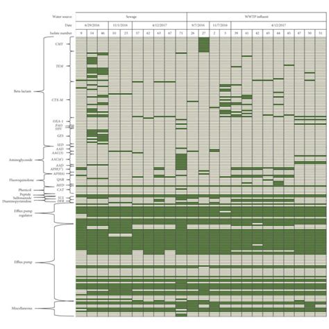 Relative Percentages Of Esbl And Suspected Kpc In Total Detected Download Scientific Diagram