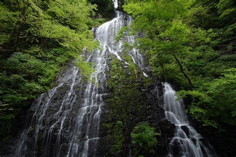 福井龍双ヶ滝へ