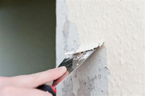 Cómo Quitar el Gotelé Guía para alisar tus paredes