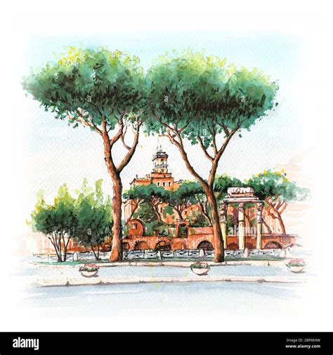 Pine Tree In Rome Cut Out Stock Images And Pictures Alamy