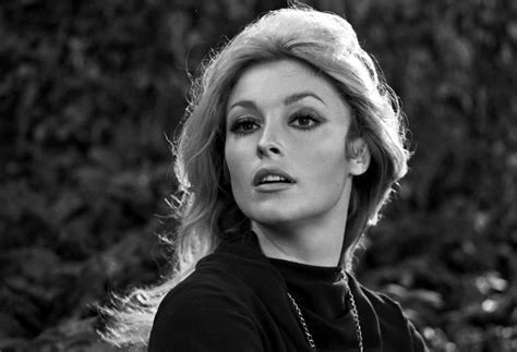 From Beauty To Tragedy Candid And Beautiful Photos Of Sharon Tate