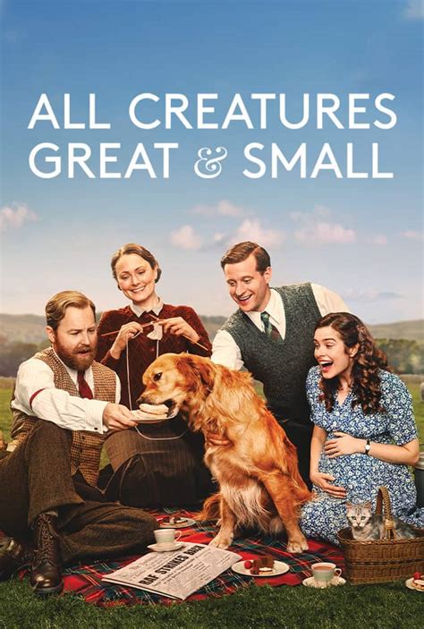 Endeavours Shaun Evans Answers Fan Questions Part I Masterpiece Pbs