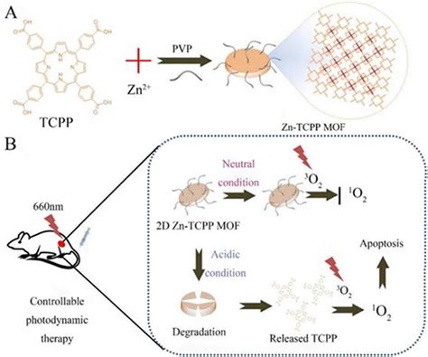 Schematic Showing The 2d Zn Tcpp Mof For Controllable Pdt A A