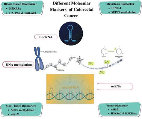 Illustration Of Different Molecular Biomarker Based Detection For