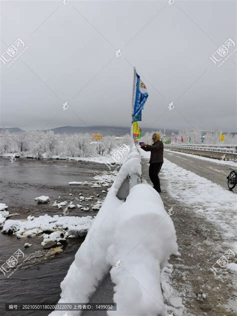 春天的雪挂 森林植被 自然风景 摄影素材 汇图网www huitu