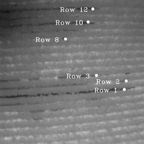 Algorithm Output For Image 1 Of The Data Set Download Scientific Diagram