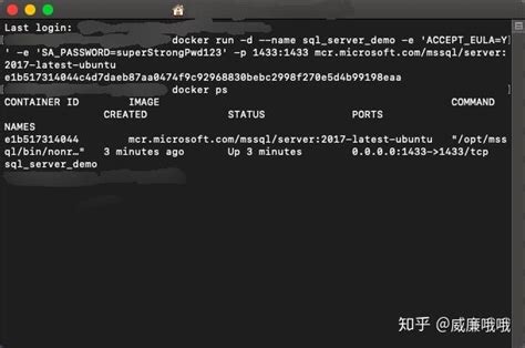 如何在Mac上安装SQL server学习数据库原理 知乎