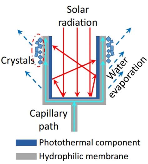Schematic Of Cross Section View Of The Solar Crystallizer 24