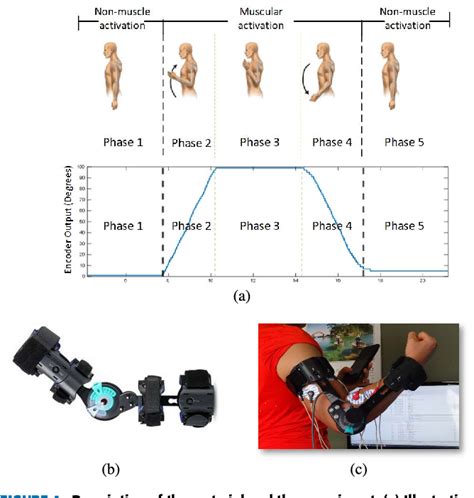 Figure 1 From A Fast Emg Based Algorithm For Upper Limb Motion Intention Detection By Using