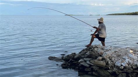 Slow August Fishing In Penrhyn OffCenterHarbor