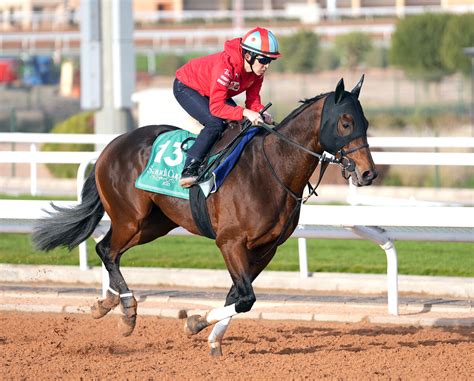 【サウジカップ追い切り】福永祐一騎手がヴァンドギャルドに騎乗、サウジの砂に好感触「グリップ利いていい馬場」 Umatoku 馬トク