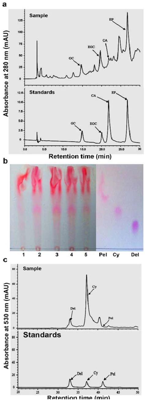 Hplc Profiling Of Flavan 3 Ols And Tlc Analysis Of Proanthocyanidins In Download Scientific
