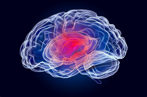 Neurology Jefferson Health