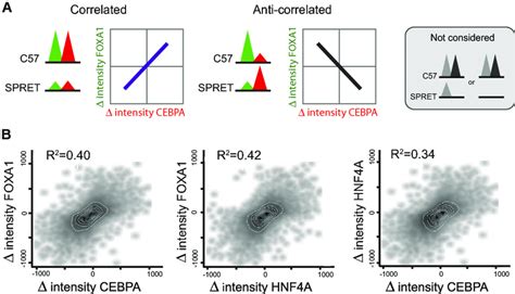 Tf Binding Intensities Differ In A Positively Correlated Manner A For