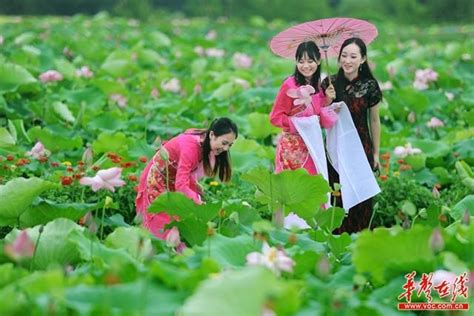首屆鄉村文化旅遊節開幕 永州零陵走出一條野路子 每日頭條