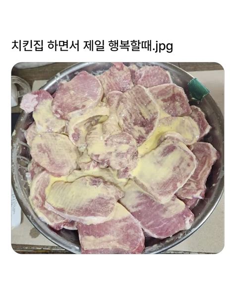 치킨집 하면서 가장 행복할때 유머 움짤 이슈 에펨코리아