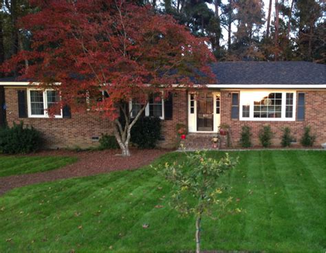 Rye Grass A Simple Winter Lawn Maintenance Solution Carolina