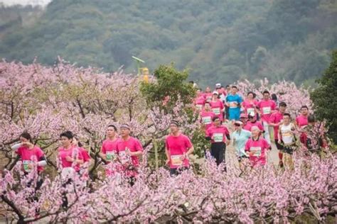 桃林沟简介 水上乐园 景区 大山谷图库